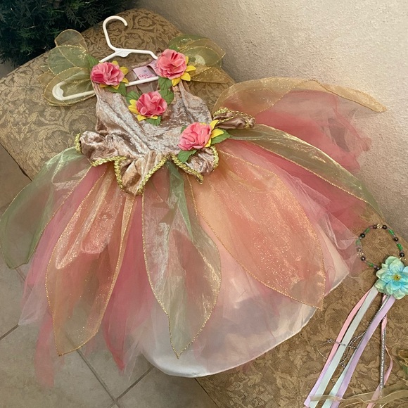 Fairy Dust | Costumes | Fairy Dust Fairy Dress | Poshmark